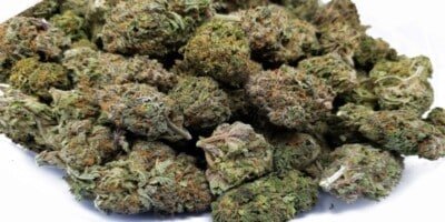 Cannabis Ablaufdatum: Kann ich altes Gras rauchen? | THC.guide