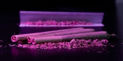 Joint rauchen & Zubehör: Cannabis Konsum für Kiffer, Hippies, Hanfpatienten