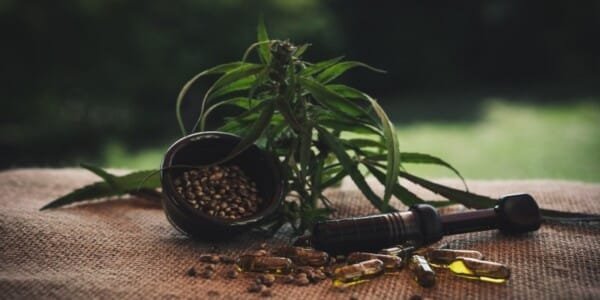 Hanf Produkte als Lebensmittel und THC-Gehalt | THC.guide